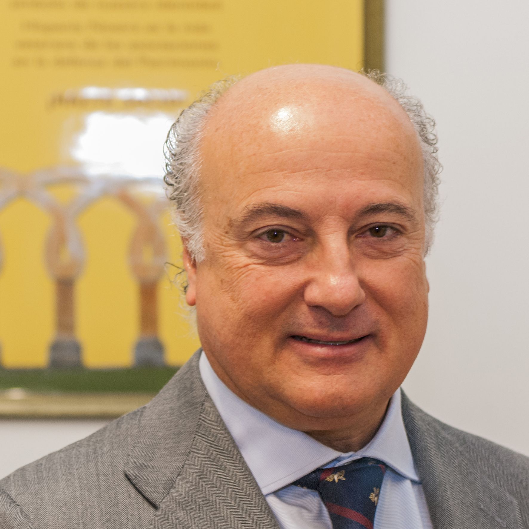 Organigrama del equipo de la Asociación Hispania Nostra